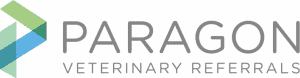 Veterinary Referral Centre for Small Animals | Paragon Referrals