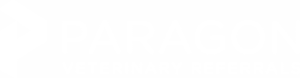 Veterinary Referral Centre for Small Animals | Paragon Referrals