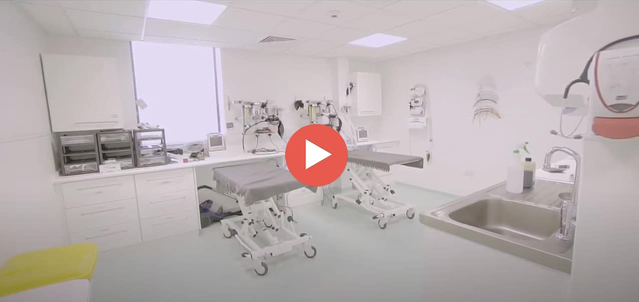 Veterinary Referral Centre for Small Animals | Paragon Referrals