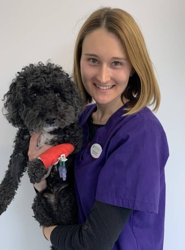 Meet Simona - Internal Medicine Intern | Paragon Referrals