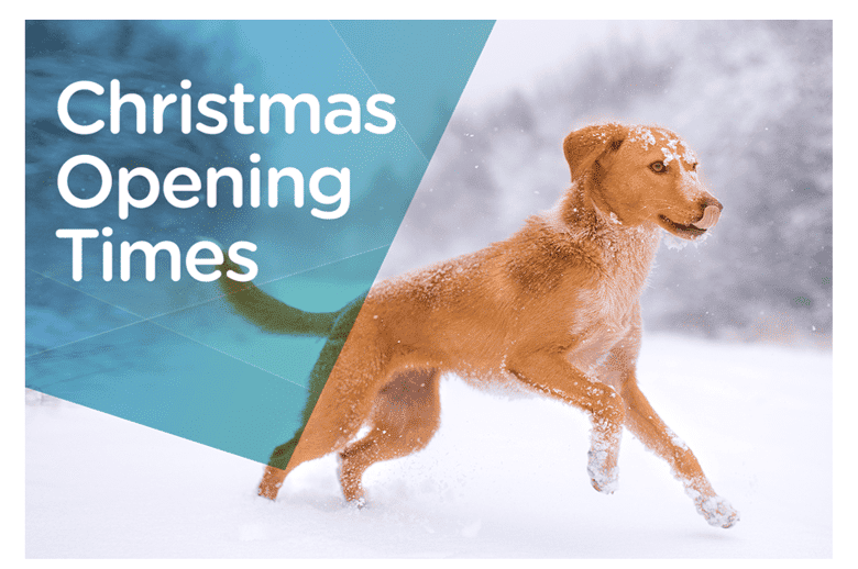 Christmas | Paragon Referrals | Wakefield