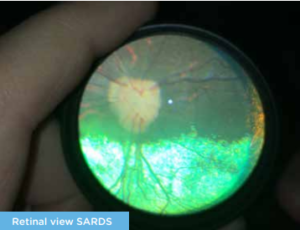 SARDS - Paragon Referrals