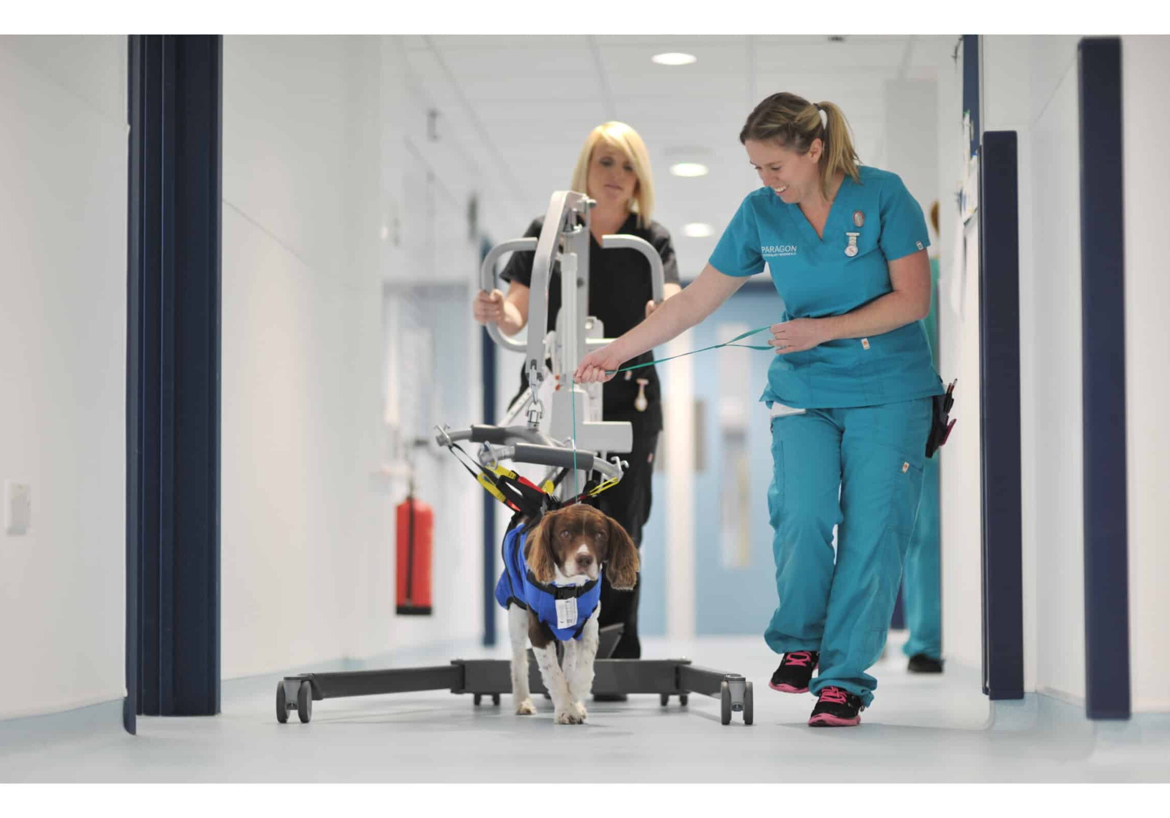 Nursing - Paragon Referrals